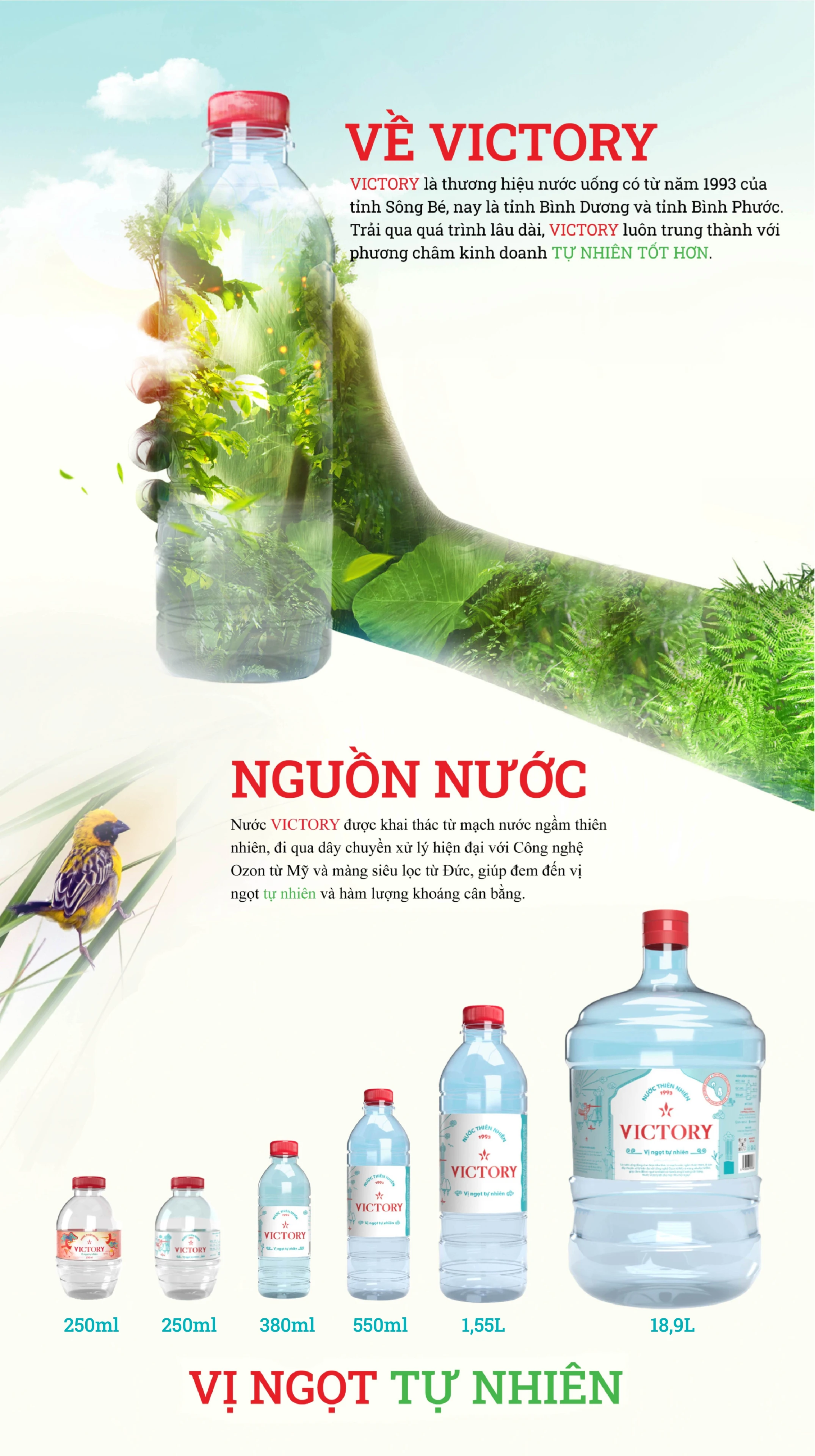 VICTORY - Vị Ngọt Tự Nhiên